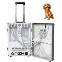China Portable Pet Dental Treatment Unit with 550W Power and 0.8Mpa Pressure for Veterinary Dental Care for sale