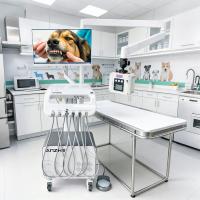 China Factory Direct Veterinary Pet Dental Mobile Trolley with X-Ray Unit Portable Vet Dental Treatment Cart OEM Dental Trolley for sale