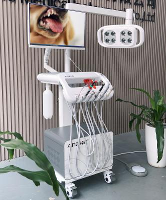 China All-in-One Pet Dental Treatment Machine Mobile Veterinary Dental Unit with LED Lamp PC Mobile Vet Dental Cart for Dog Oral Care for sale