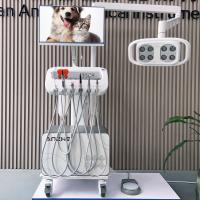 China All-in-One Pet Dental Treatment Machine Mobile Veterinary Dental Unit with LED Lamp PC Mobile Vet Dental Cart for Dog Oral Care for sale