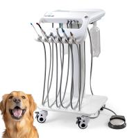 China Portable Vet Dental Machine with 550W Power 10L Stainless Air Tank and 38DB Noise Level for Mobile Dental Therapy for sale
