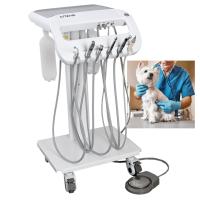 China Portable Vet Dental Machine with 550W Power 10L Stainless Air Tank and 38DB Noise Level for Mobile Dental Therapy for sale