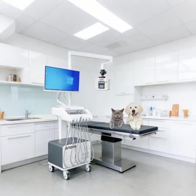 China Portable Dental Therapy Unit with Built in X Ray and PC Mobile Dental Cart with Air Compressor Suction System Dental Delivery Unit for Clinic and Outreach Use for sale