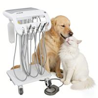 China Veterinary Dental Trolley Pet Dental Treatment Cart Portable Vet Dental Unit for Dog and Cat Teeth Cleaning Equipment for sale