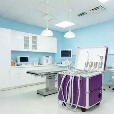 China Mini Luggage Portable Dental Unit with Air Compressor Mobile Dental Turbine Unit Full Set Portable Dental Clinic Equipment for sale