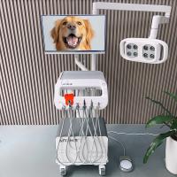 China Portable Veterinary Dental Unit with LED Lamp and Air Compressor Mobile Pet Dental Treatment Cart 550W Dental Therapy Machine for Animal Clinic for sale