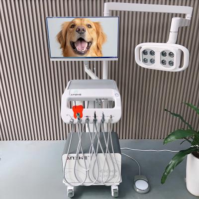 China Portable Veterinary Dental Unit with LED Lamp and Air Compressor Mobile Pet Dental Treatment Cart 550W Dental Therapy Machine for Animal Clinic for sale