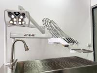 China 3 in 1 Veterinary Workstation with Examination Table LED Surgical Light Dental Unit Air Compressor for Animal Clinic for sale