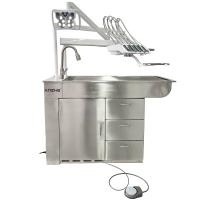 China 3 in 1 Veterinary Workstation with Examination Table LED Surgical Light Dental Unit Air Compressor for Animal Clinic for sale