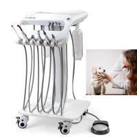 China Portable Vet Dental Machine with 550W Power 10L Stainless Air Tank and 38DB Noise Level for Mobile Dental Therapy for sale