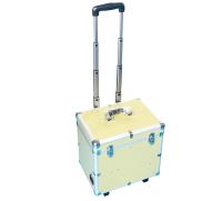 China Portable Veterinary Dental Unit with Suction System & Silent Oil-Free Compressor Mobile Pet Dental Care Equipment for Animal Clinic for sale