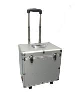 China Portable Veterinary Dental Unit with Suction System & Silent Oil-Free Compressor Mobile Pet Dental Care Equipment for Animal Clinic for sale