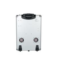 China Portable Pet Dental Treatment Unit with 550W Power and 0.8Mpa Pressure for Veterinary Dental Care for sale
