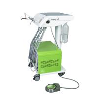 China Portable Veterinary Dental Unit Mobile Pet Dental Workstation with Air Compressor Scaler Suction Vet Dental Trolley OEM for sale