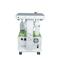 China Portable Veterinary Dental Unit Mobile Pet Dental Workstation with Air Compressor Scaler Suction Vet Dental Trolley OEM for sale