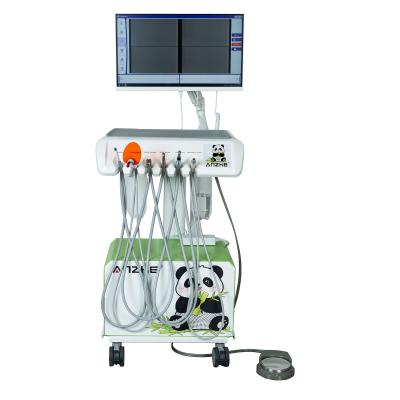 China Animal Dental Mobile Cart Veterinary Dental Equipment Pet Dental Treatment System with Oral Camera Air Compressor and Suction for sale