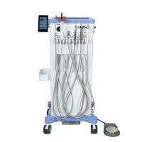 China Portable Veterinary Dental Unit with 550W Oil-Free Air Compressor 10L Stainless Tank Low Noise Dental Workstation for sale