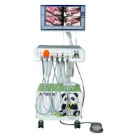 China HD Oral Camera Veterinary Dental Treatment Cart Mobile Vet Dental Unit with High Definition Imaging Suction Scaler LED Curing Light for sale