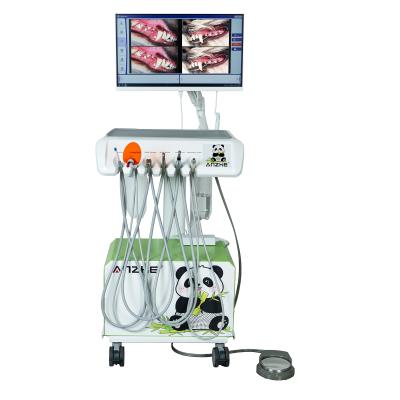 China HD Oral Camera Veterinary Dental Treatment Cart Mobile Vet Dental Unit with High Definition Imaging Suction Scaler LED Curing Light for sale