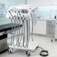 China Basic Portable Veterinary Dental Cart with 5 Tubes | Mobile Pet Dental Workstation for Vet Clinics, Customizable Upgrade Available for sale