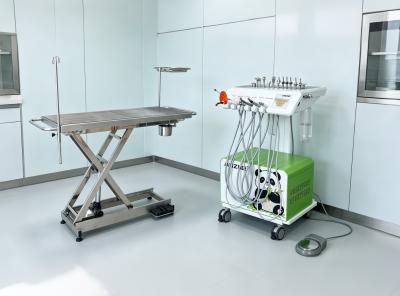 China Portable Veterinary Dental Unit Panda Style Professional Pet Dental Equipment for Small Animal Clinics for sale