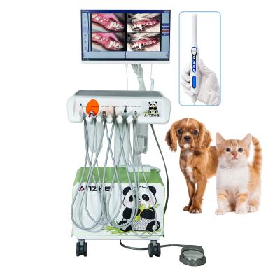 China HD Oral Camera Veterinary Dental Workstation All-in-One PC Win10  Mobile Vet Dental System Plug & Play complete veterinary dental solution for sale