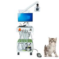 China Original Factory Veterinary Digital Intraoral Sensor Plug-and-Play Fully Equipped High-Resolution X-Ray for Pet Clinics for sale