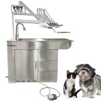 China Veterinary Dental Treatment Unit LED Whitening Butterfly Lamp 32L Oil Free Air Compressor Stainless Steel Workstation for sale