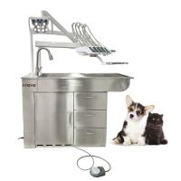 China Factory Direct Veterinary Dental Unit with LED Whitening Lamp 32L Oil Free Compressor Stainless Steel All in One Veterinary Dental Workstation for sale