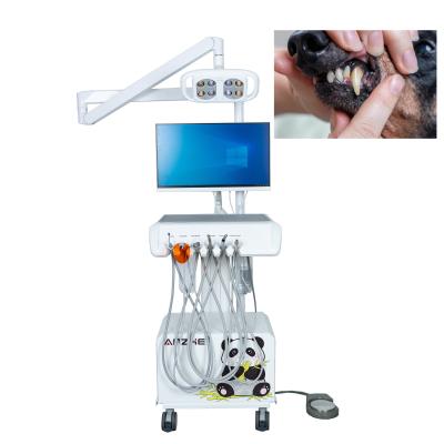China Veterinary Dental Workstation with HD Intraoral Camera LED Examination Light and Built-in Computer System for Animal Hospitals for sale