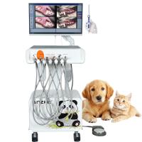 China Portable Veterinary Dental Unit with HD Oral Camera and All in One Computer Integrated Dental System for Animal Clinics for sale