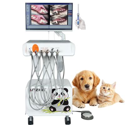 China Portable Veterinary Dental Unit with HD Oral Camera and All in One Computer Integrated Dental System for Animal Clinics for sale