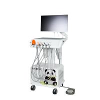 China Portable Veterinary Dental Unit with HD Oral Camera and All in One Computer Integrated Dental System for Animal Clinics for sale