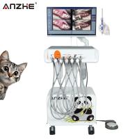 China Portable Veterinary Dental Unit with HD Oral Camera and All In One Computer Built In Air Compressor Veterinary Dental Workstation for Animal Dental Clinics for sale