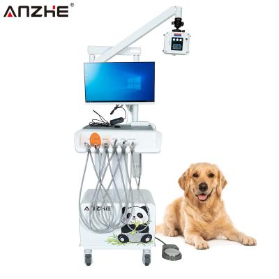 China Portable Integrated Dental Treatment Unit with HD Oral Camera Digital X Ray Sensor All In One Computer Dental Imaging Workstation for Dental Clinic for sale