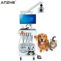 China Veterinary Dental Workstation with Digital X Ray Sensor HD Oral Camera All In One Computer Mobile Pet Dental Treatment Unit for Animal Clinics for sale