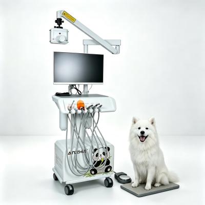 China Portable Mobile Veterinary Dental Treatment Unit All-in-one Pet Dental Machine with Digital Sensor for Animal Hospitals and Pet Dental Clinics for sale