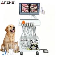 China Portable All in One Veterinary Dental Workstation with HD Oral Camera Silent 38dB Oil free Compressor and Integrated Suction System for Pet Hospital and Animal Clinic for sale