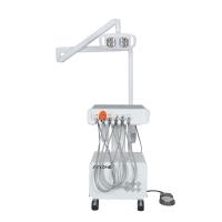 China Portable Dental Unit with LED Lamp Built-in Silent Air Compressor Mobile Dental Treatment Cart for Clinic for sale