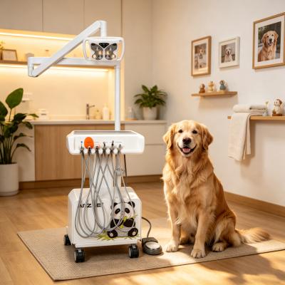 China Portable Dental Unit with Butterfly LED Dental Lamp Mobile Dental Workstation Built-in Air Compressor Scaler Curing Light Suction System for sale