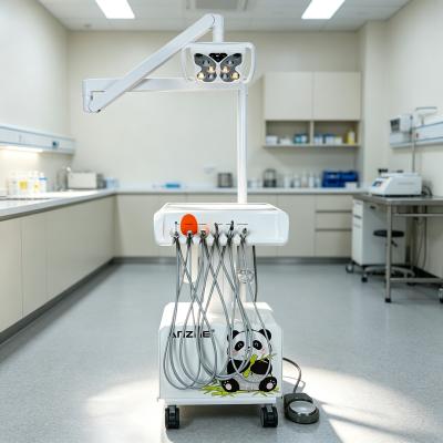 China Mobile Veterinary Dental Trolley with Butterfly Multi-Color LED Lamp, Built-in Silent Oil-Free Air Compressor and Woodpecker Ultrasonic Scaler for sale