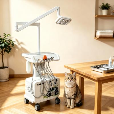 China Portable Dental Unit with LED Dental Lamp Built-in Air Compressor Suction Scaler Curing Light Mobile Dental Workstation for Clinics for sale