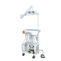 China Portable Veterinary Dental Unit with 8 LED Dental Lamp Built in Air Compressor Scaler Curing Light Suction Mobile Workstation for sale