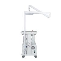 China Portable Veterinary Dental Unit with 8 LED Dental Lamp Built in Air Compressor Scaler Curing Light Suction Mobile Workstation for sale