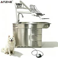 China Veterinary Dental Workstation with LED Surgical Light for sale