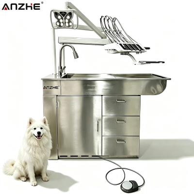China Veterinary Dental Workstation with LED Surgical Light for sale