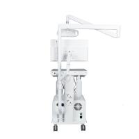 China Mobile Veterinary Dental Cart with 8 LED Dental Lamp Ultrasonic Scaler Air Compressor Suction Animal Dental Equipment for sale