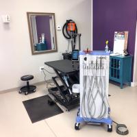 China 550W Portable Veterinary Dental Unit with 0.8Mpa Pressure and 38DB Noise Veterinary Dental Cart for sale