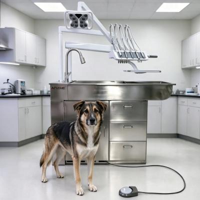 China All In One Dental Treatment Unit with 32L Oil Free Air Compressor and LED Dental Lamp for Dental Clinic for sale