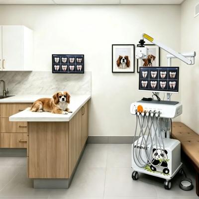 China All In One Veterinary Dental Workstation with Portable X Ray Digital Sensor and Intraoral Camera for Pet Hospital for sale